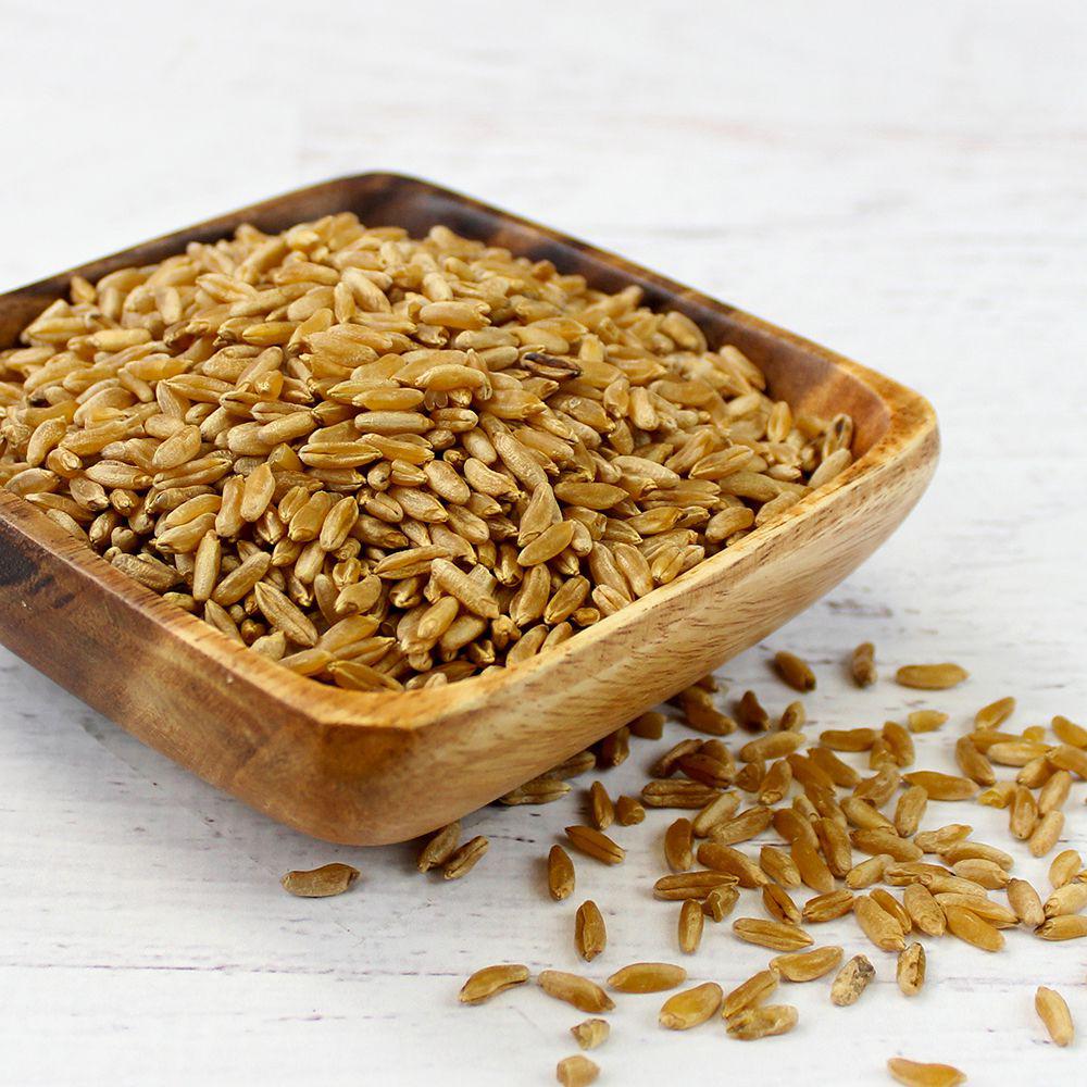 Kamut Kernels 2 kg Epigrain | Qualifirst